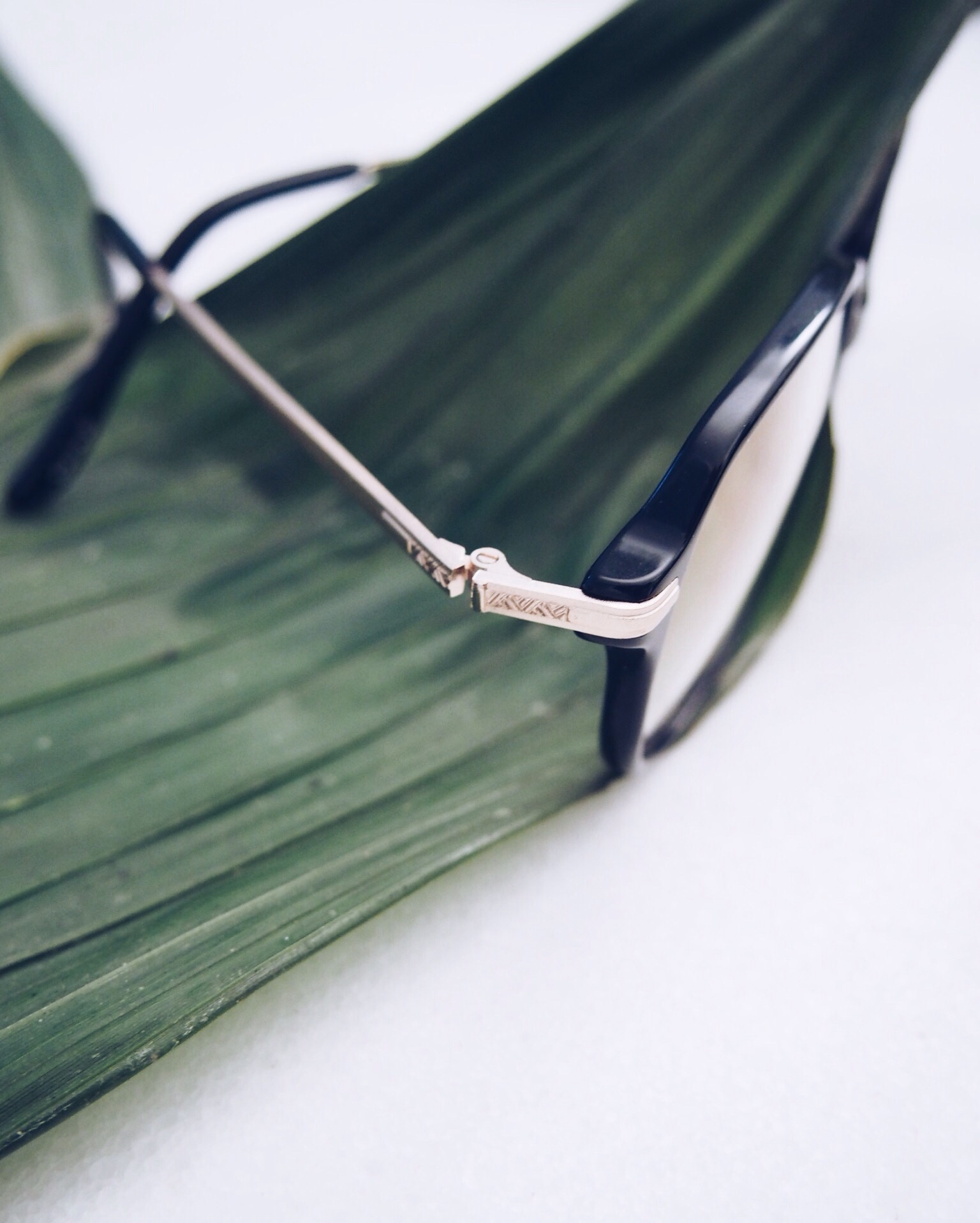 Innovation e-polette pour surfer sur les écrans - Carnets Nature